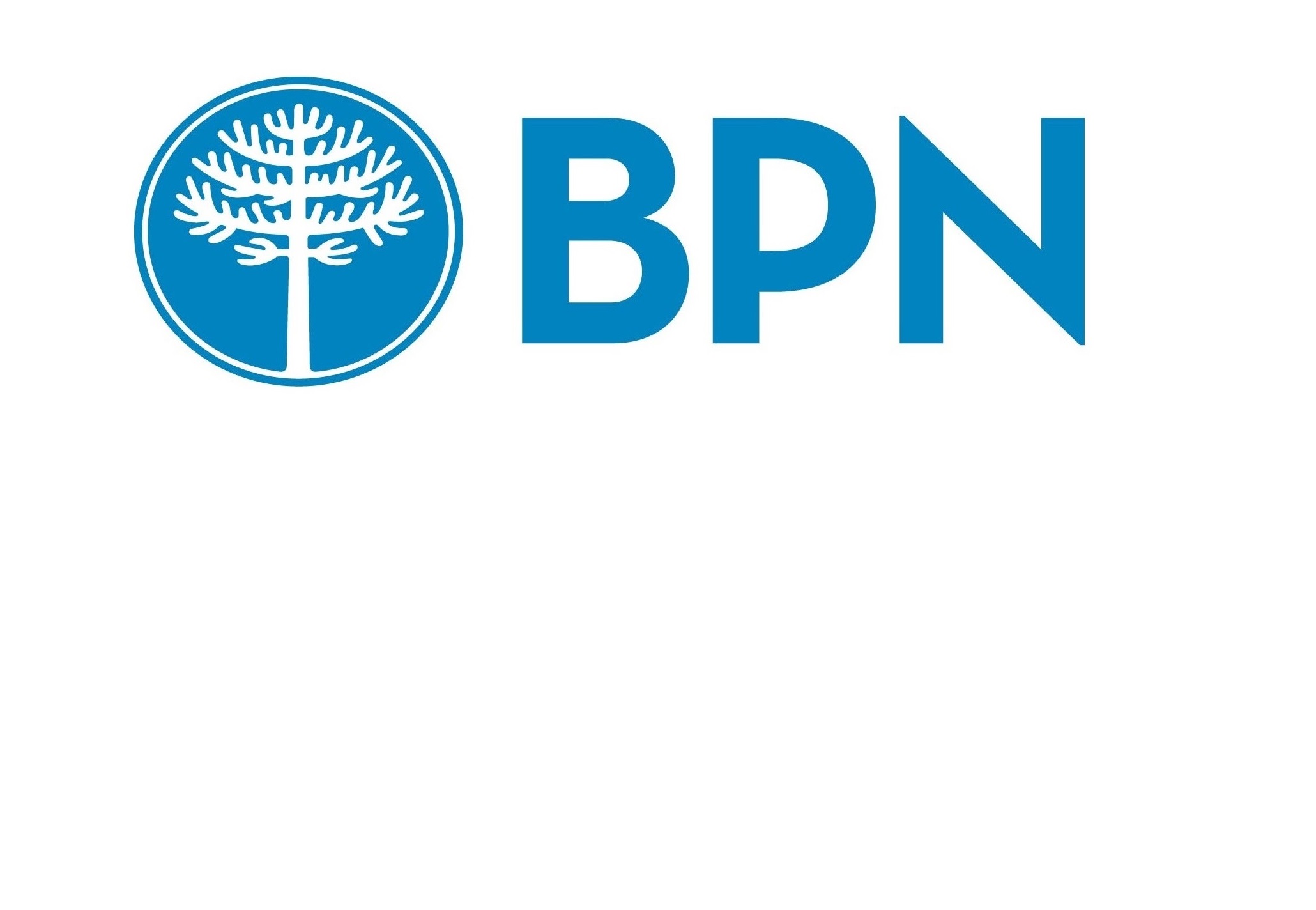BPN - Nuestro Banco